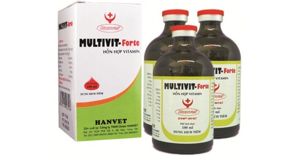 MULTIVIT–Forte